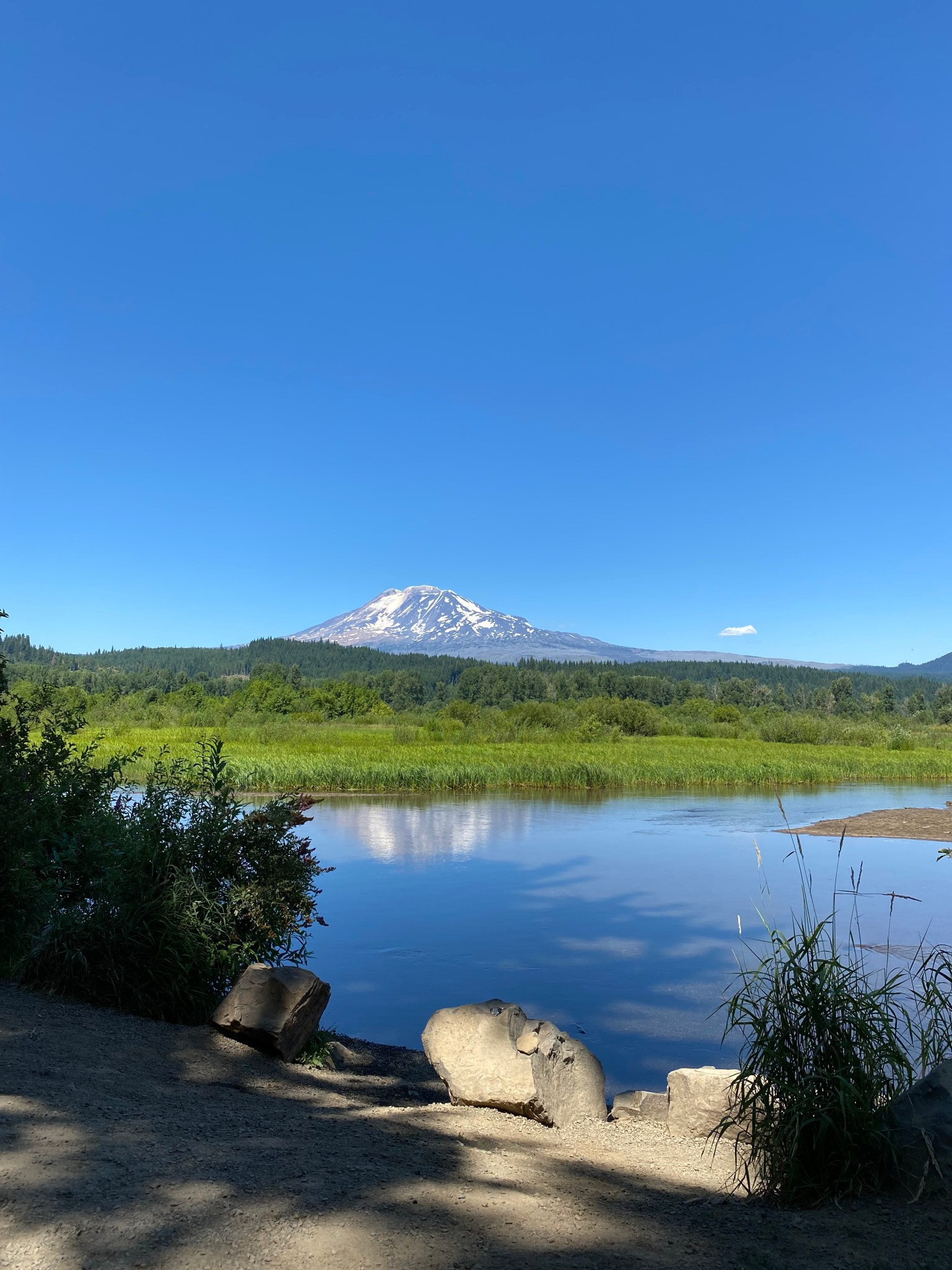 Research – People and Wildlife Lab